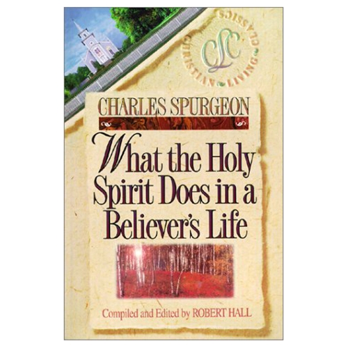 YWAM Publishing - BELIEVER'S LIFE SERIES What the Holy Spirit Does in a ...
